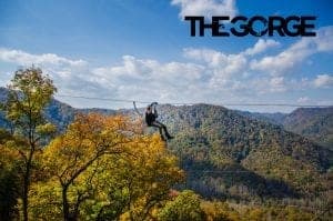 Looking for an Outdoor Adventure in Asheville? The Gorge Zipline Is It