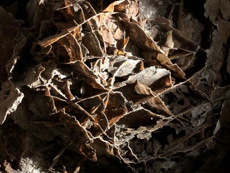 4 Amazing National Parks You've Probably Never Heard Of - TREKKN ...