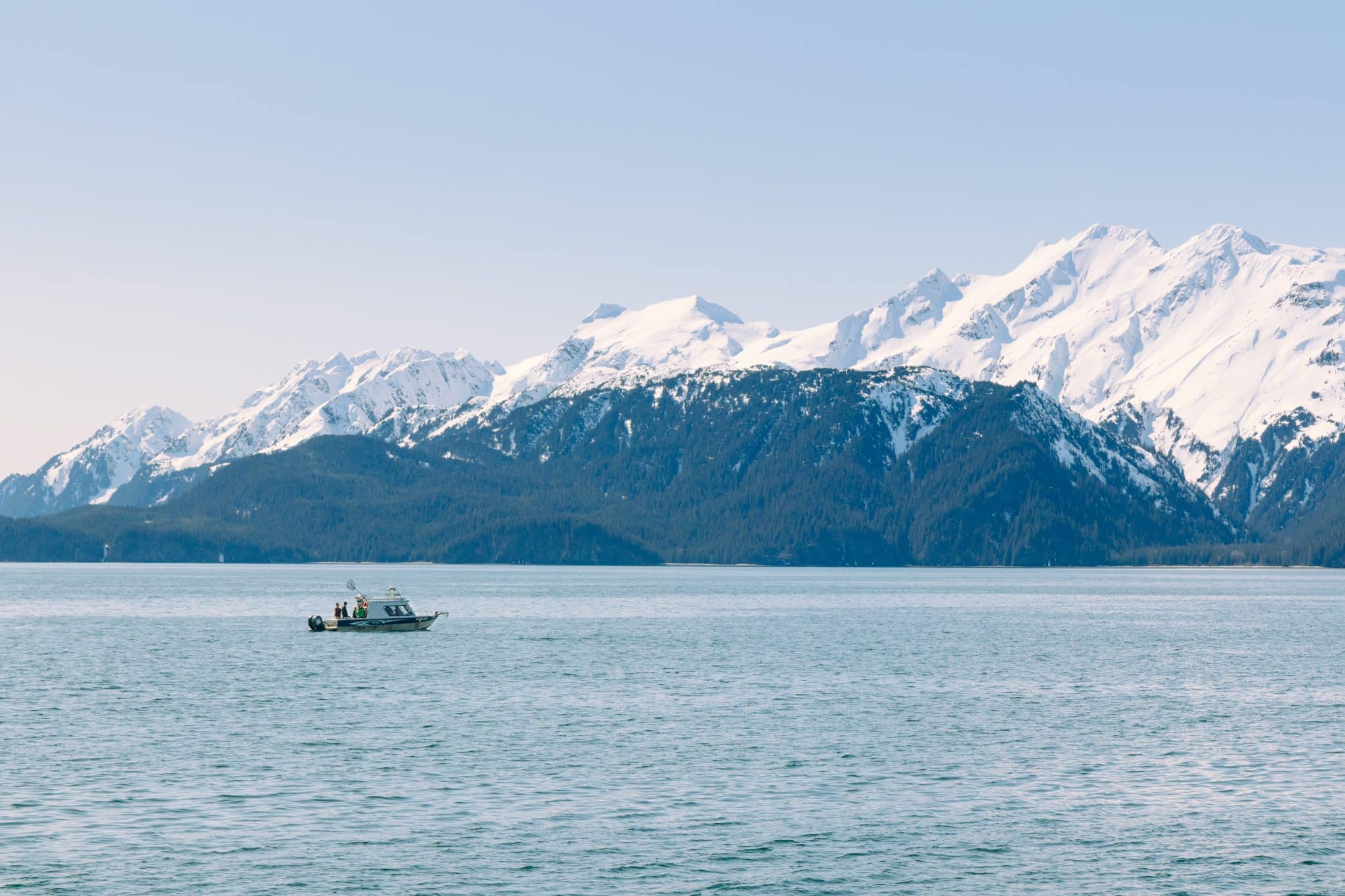 Why You Should Go on a Boat Tour in Seward, Alaska