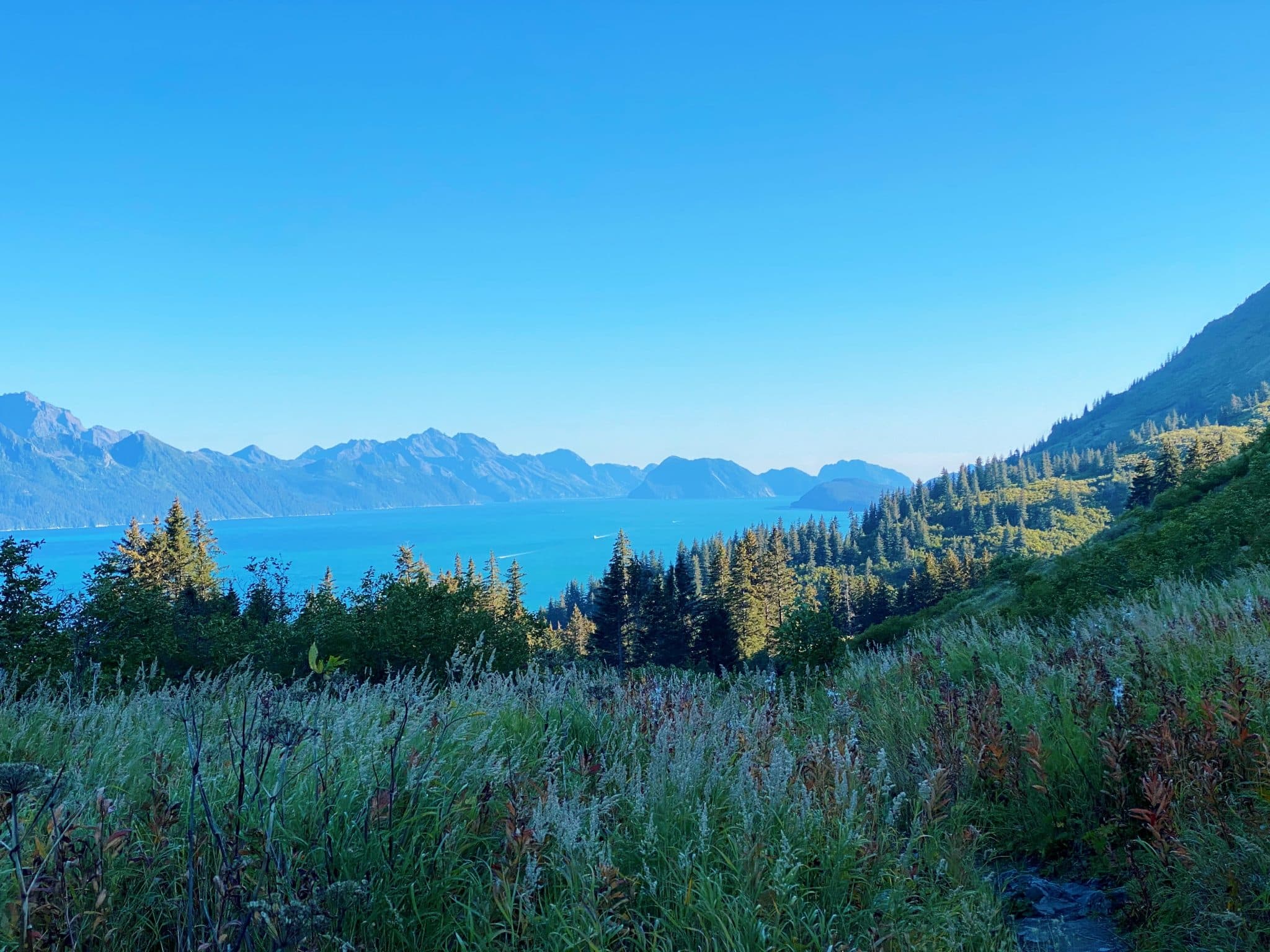 3 of the Best Hiking Trails Near Seward, Alaska