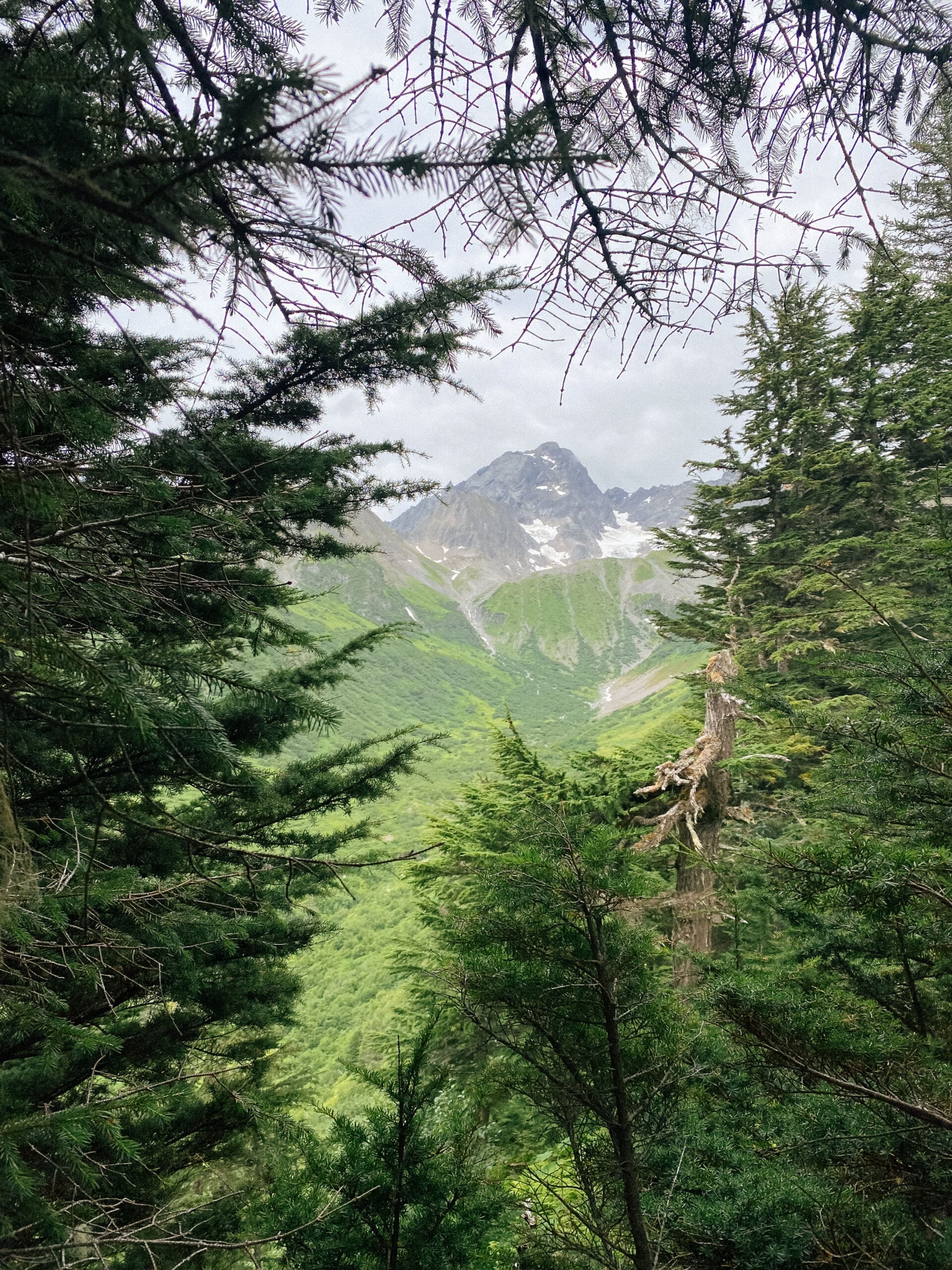 Mount Alice: Hiking up Seward's Tallest Mountain