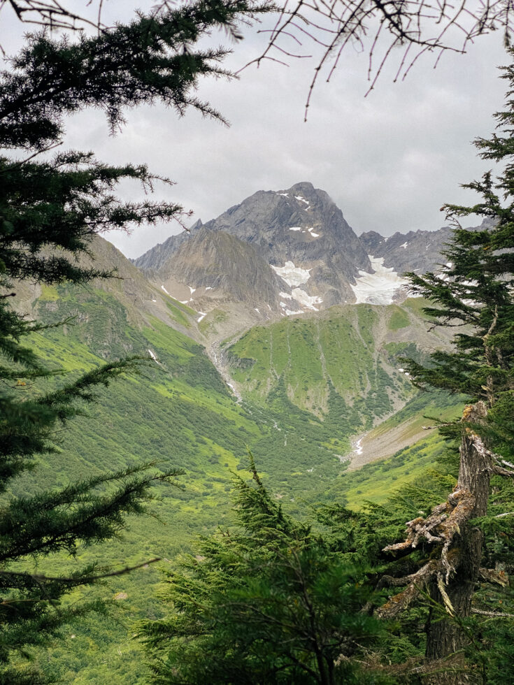 Mount Alice: Hiking up Seward's Tallest Mountain