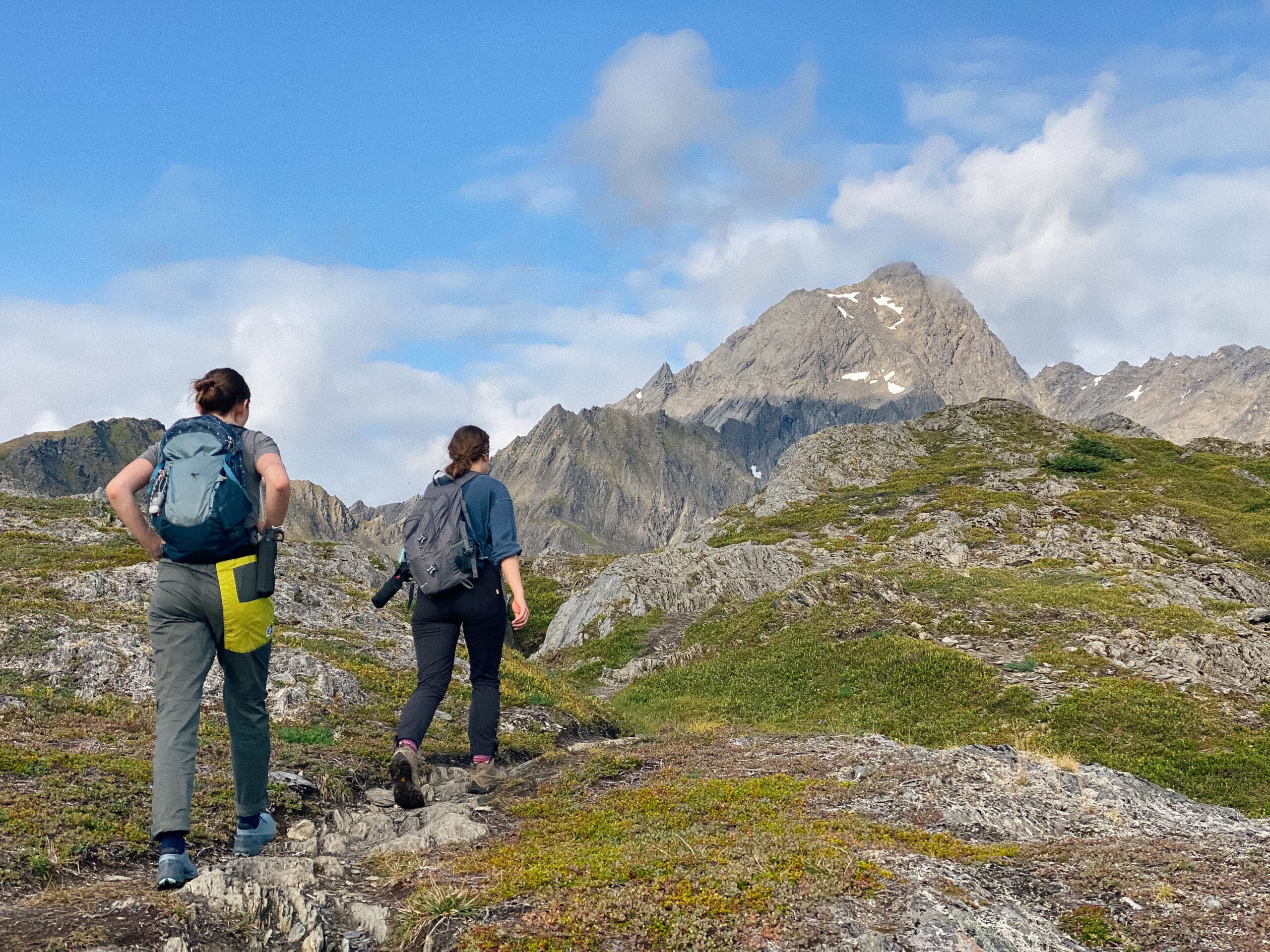 Mount Alice: Hiking up Seward's Tallest Mountain