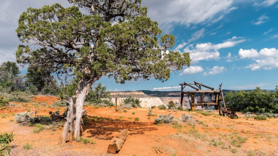 3 of the Least-Crowded Hikes in Zion National Park