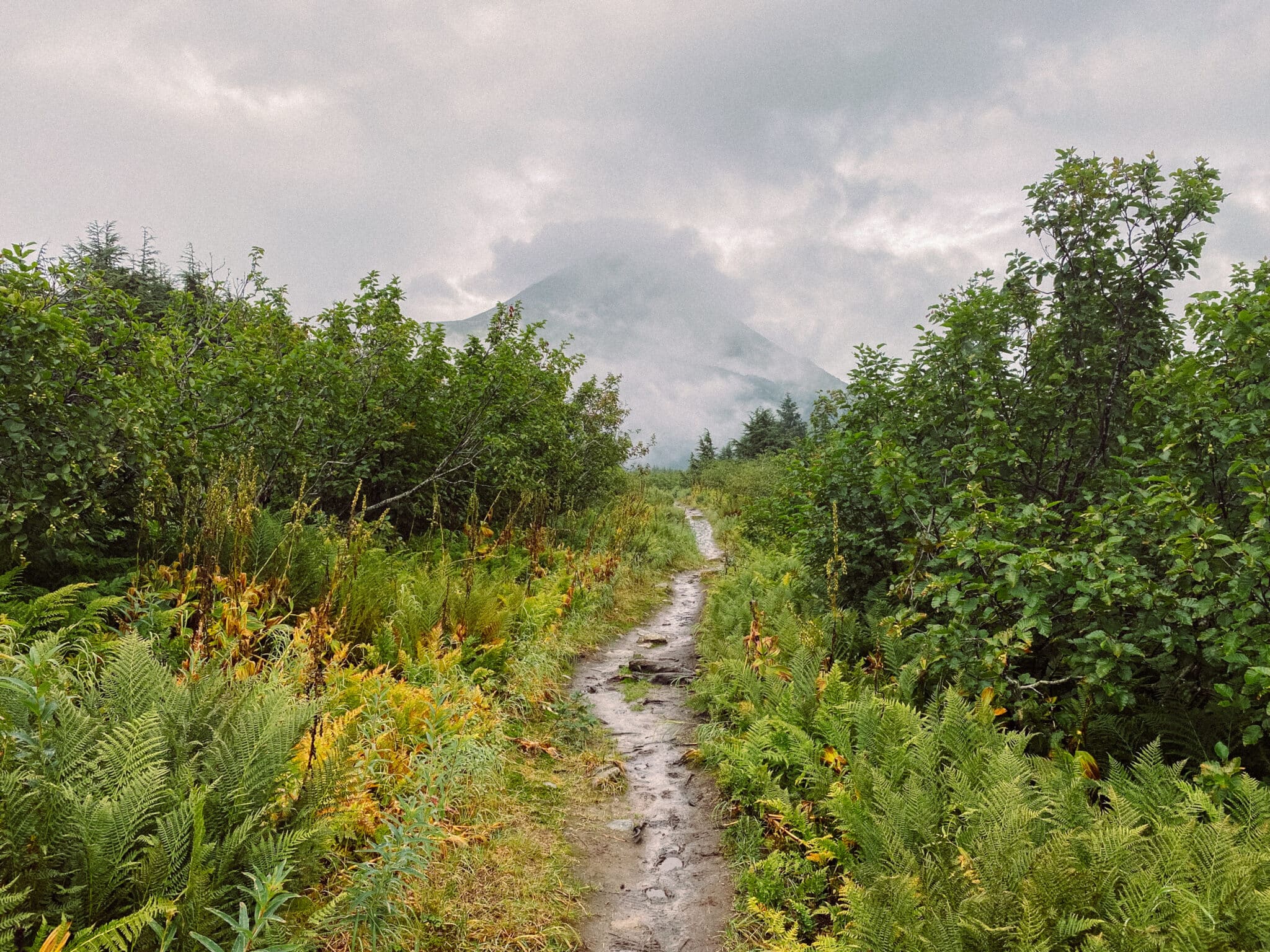 Take a Hike on the Carter Lake Trail Near Seward, Alaska
