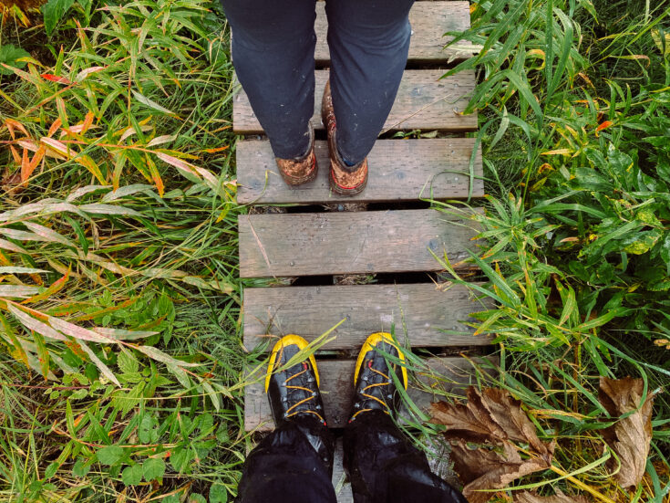 Take a Hike on the Carter Lake Trail Near Seward, Alaska