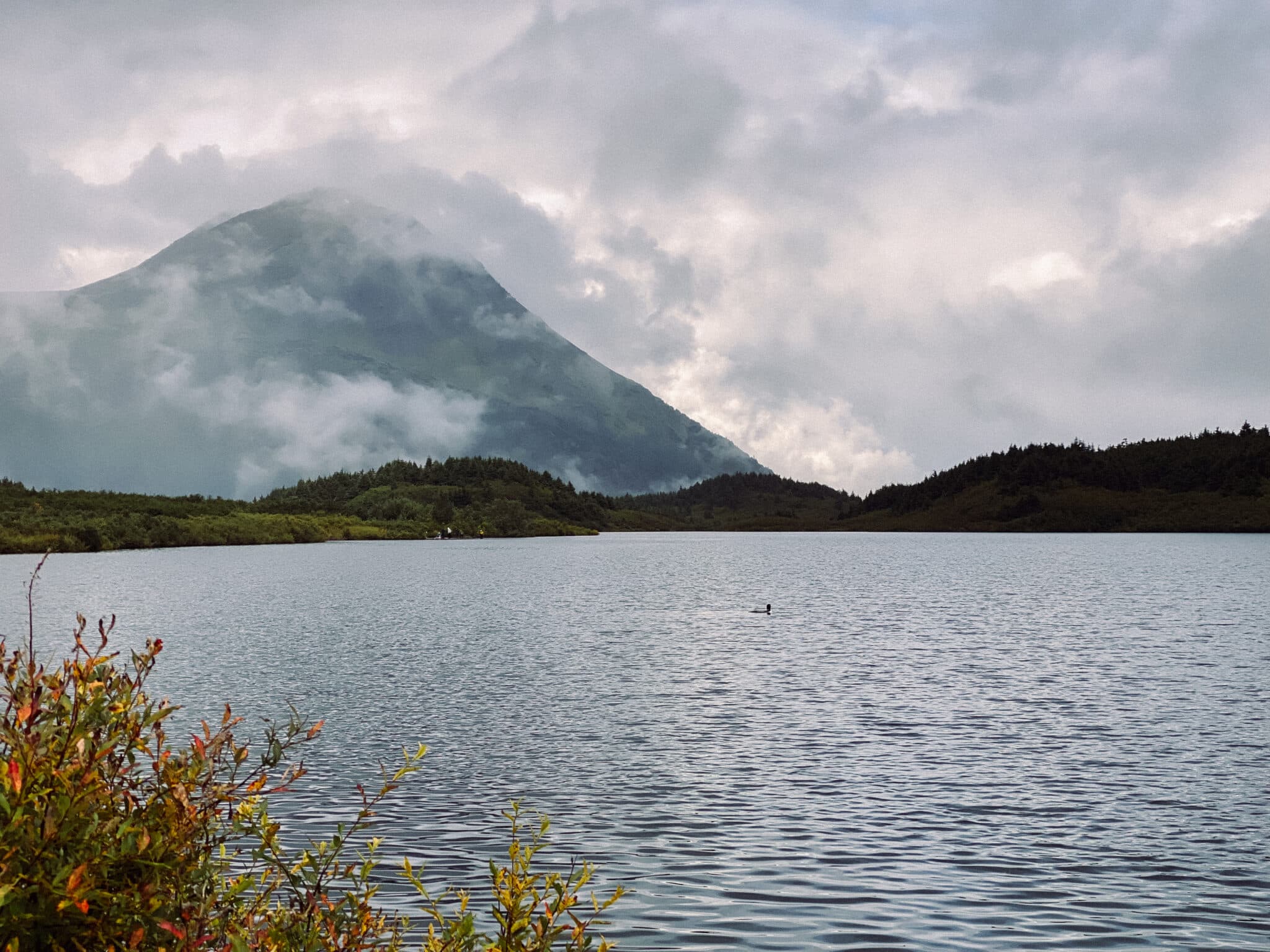 Take a Hike on the Carter Lake Trail Near Seward, Alaska