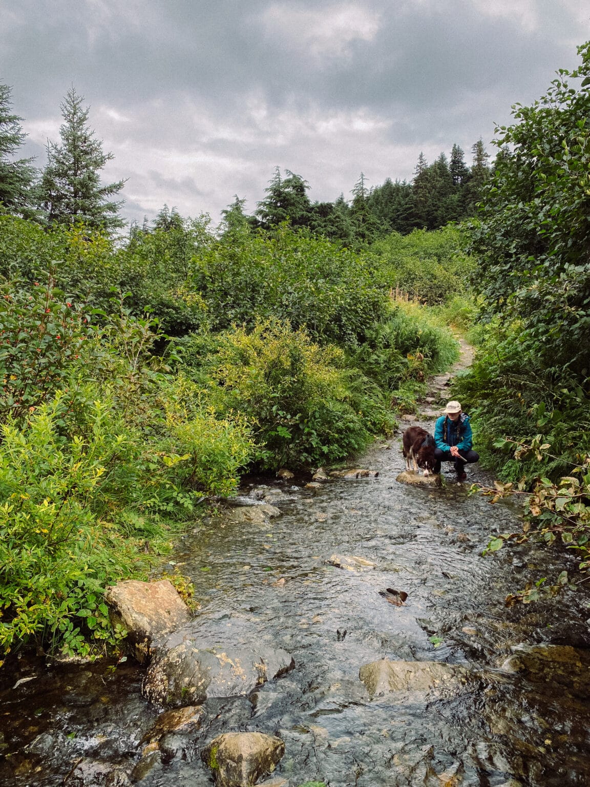 Take a Hike on the Carter Lake Trail Near Seward, Alaska