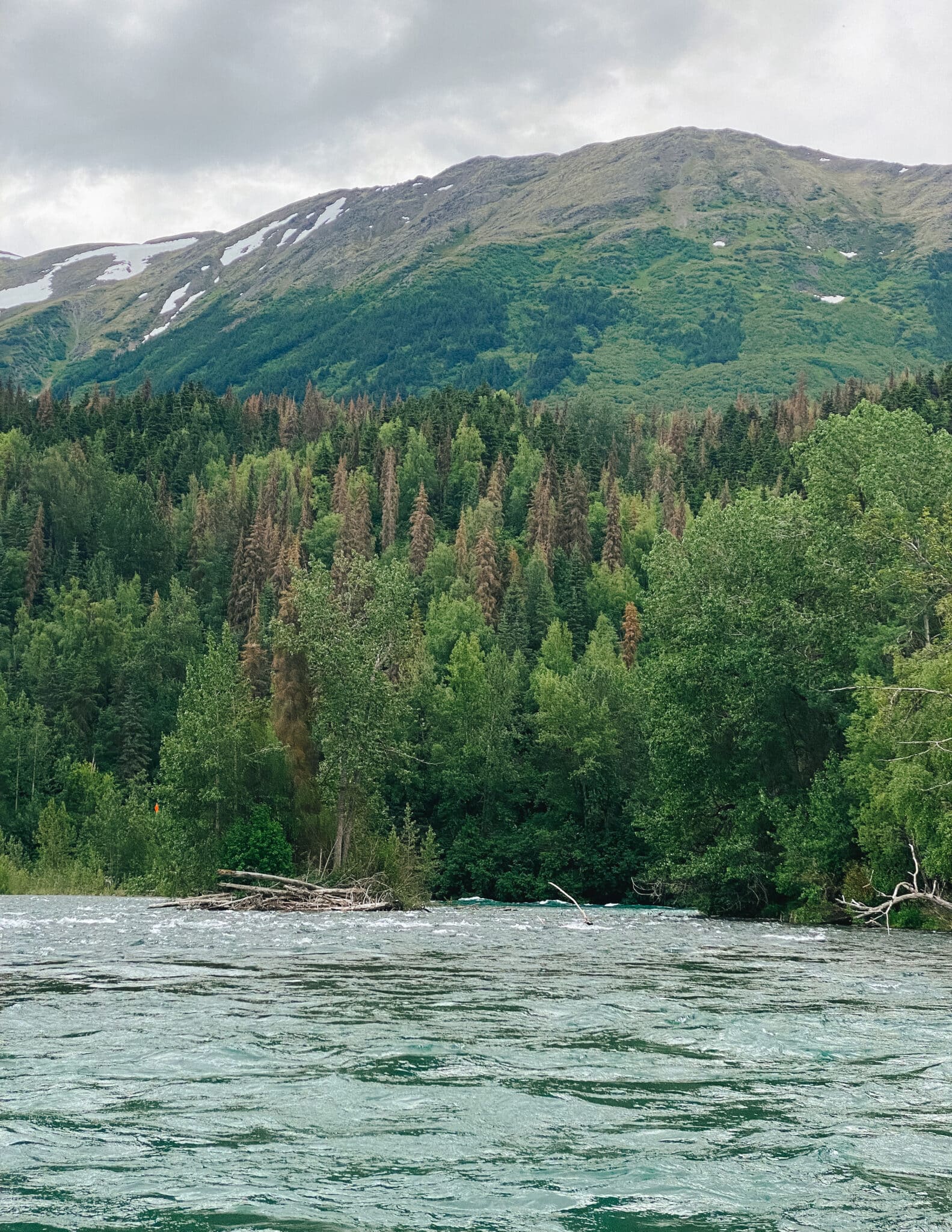 Rafting in Alaska: Float Down the Beautiful Kenai River