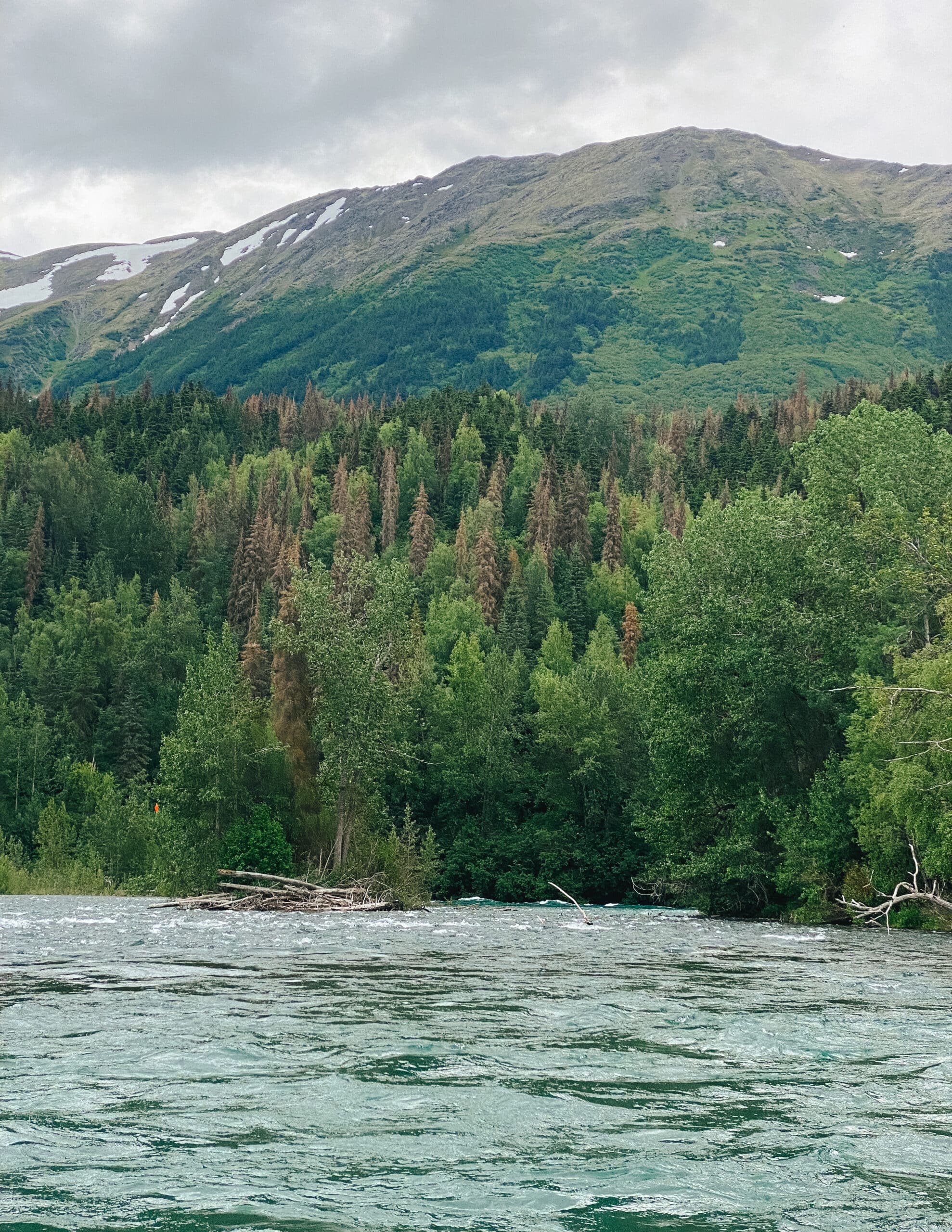 Rafting in Alaska: Float Down the Beautiful Kenai River