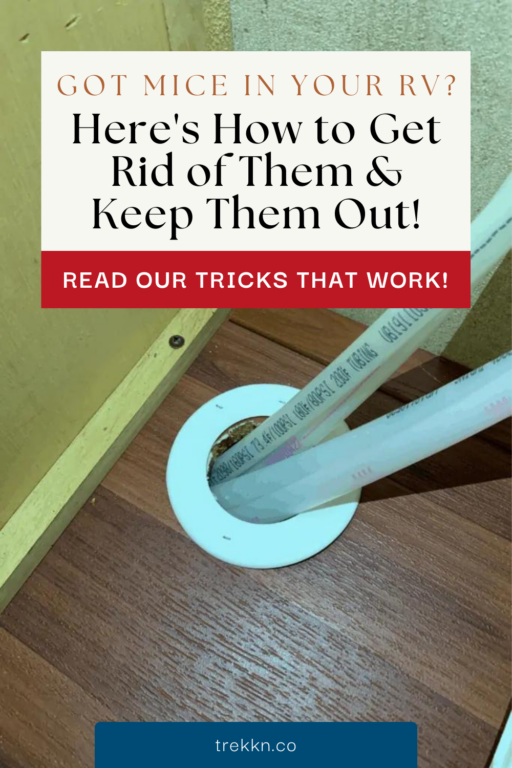 How to Keep Mice Out of Your RV So You Can Sleep Comfortably At Night