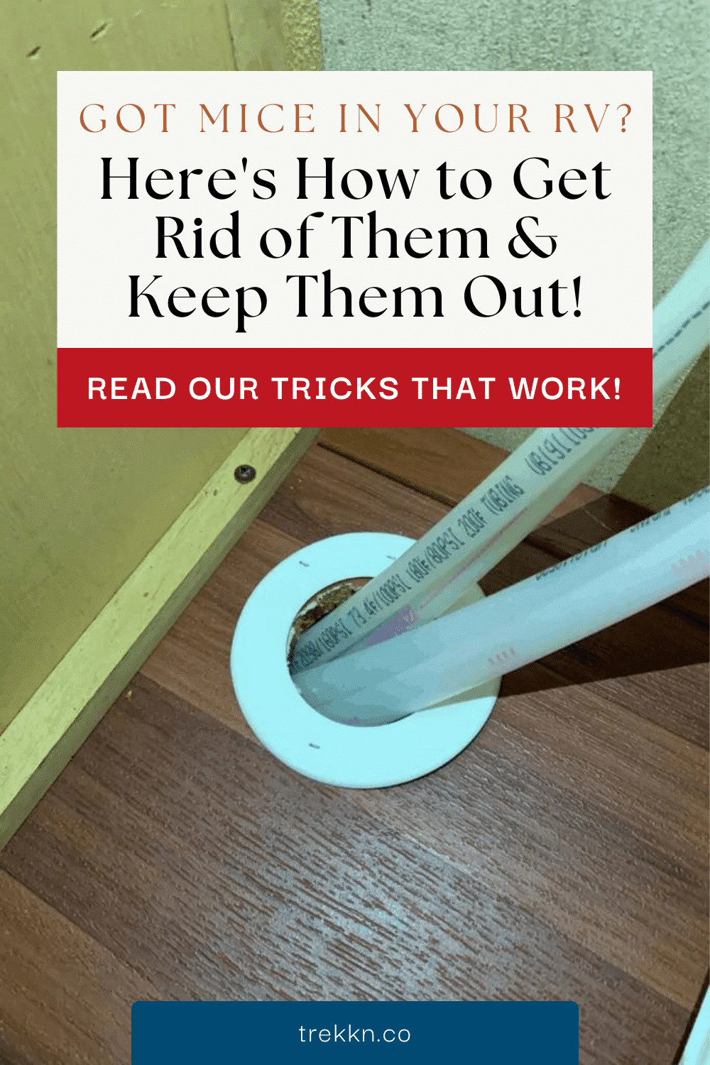 How to Keep Mice Out of Your RV So You Can Sleep Comfortably At Night