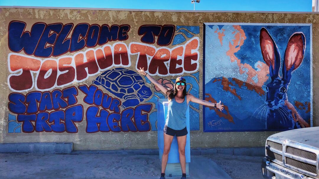RVers Guide to Joshua Tree National Park | TREKKN
