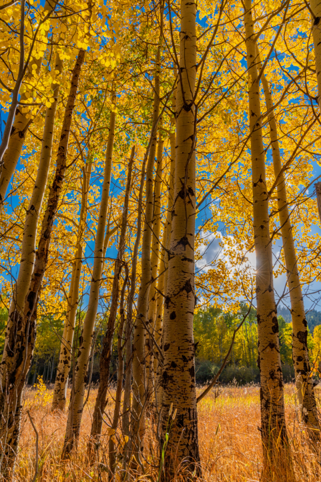 Best Colorado State Parks for RVers - TREKKN | RVing, Camping & Hiking